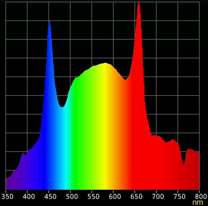 The Importance of Supplemental Lighting Quality in Winter: Optimizing ...