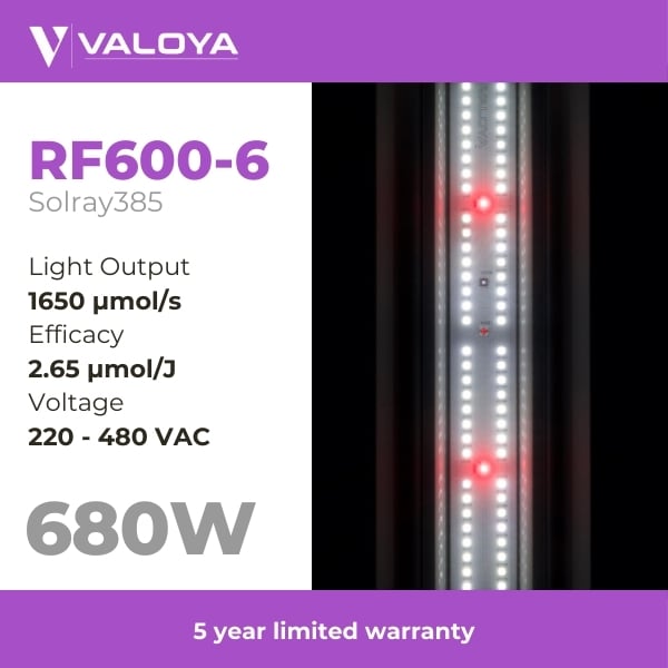 In Stock | US Inventory | Ready to Ship