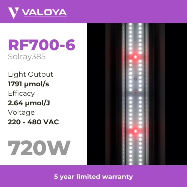 In Stock | US Inventory | Ready to Ship