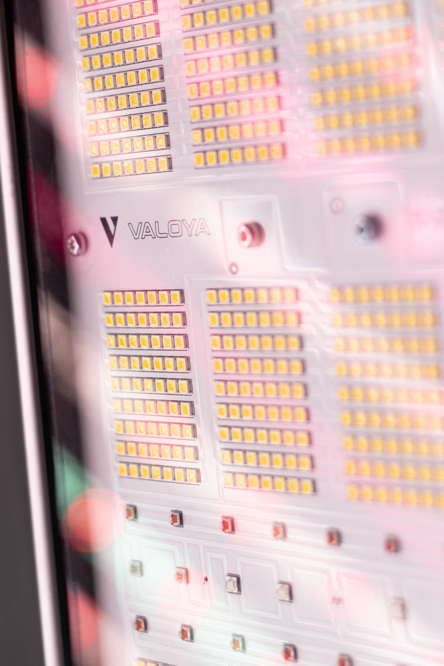 Request More Information | Valoya LED Grow Lights