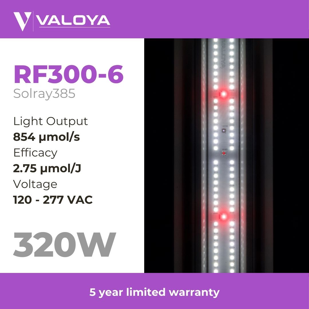 In Stock | US Inventory | Ready to Ship