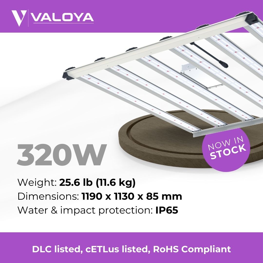 In Stock | US Inventory | Ready to Ship