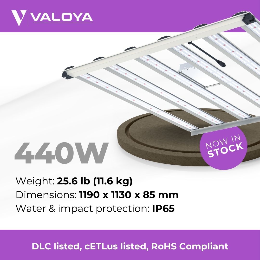 In Stock | US Inventory | Ready to Ship