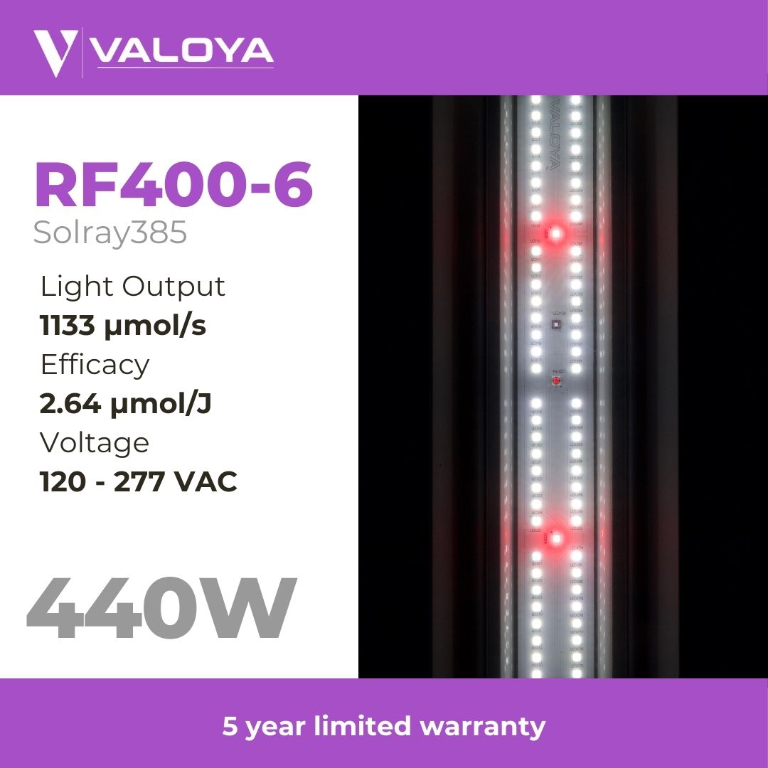 In Stock | US Inventory | Ready to Ship