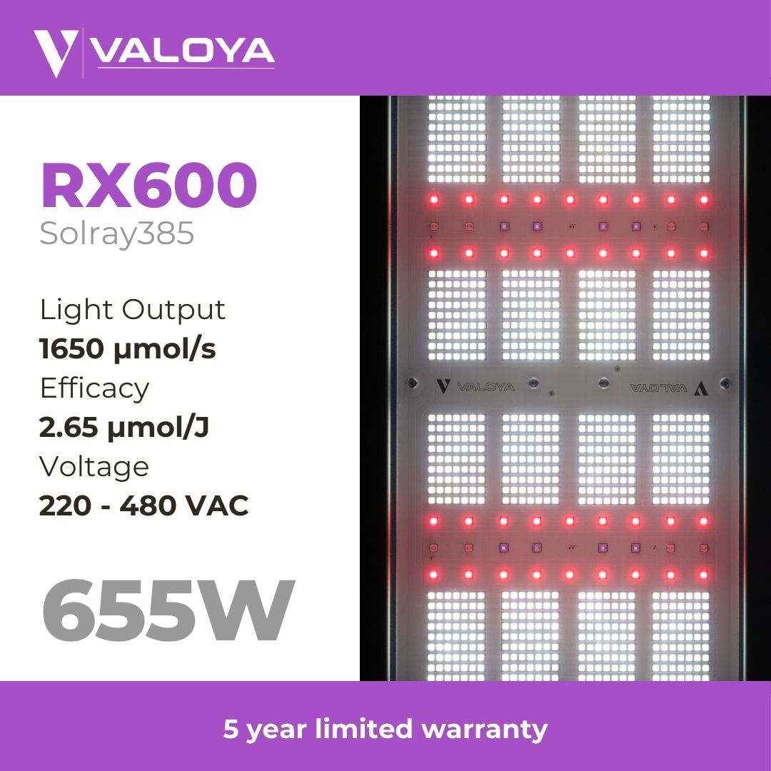 In Stock | US Inventory | Ready to Ship